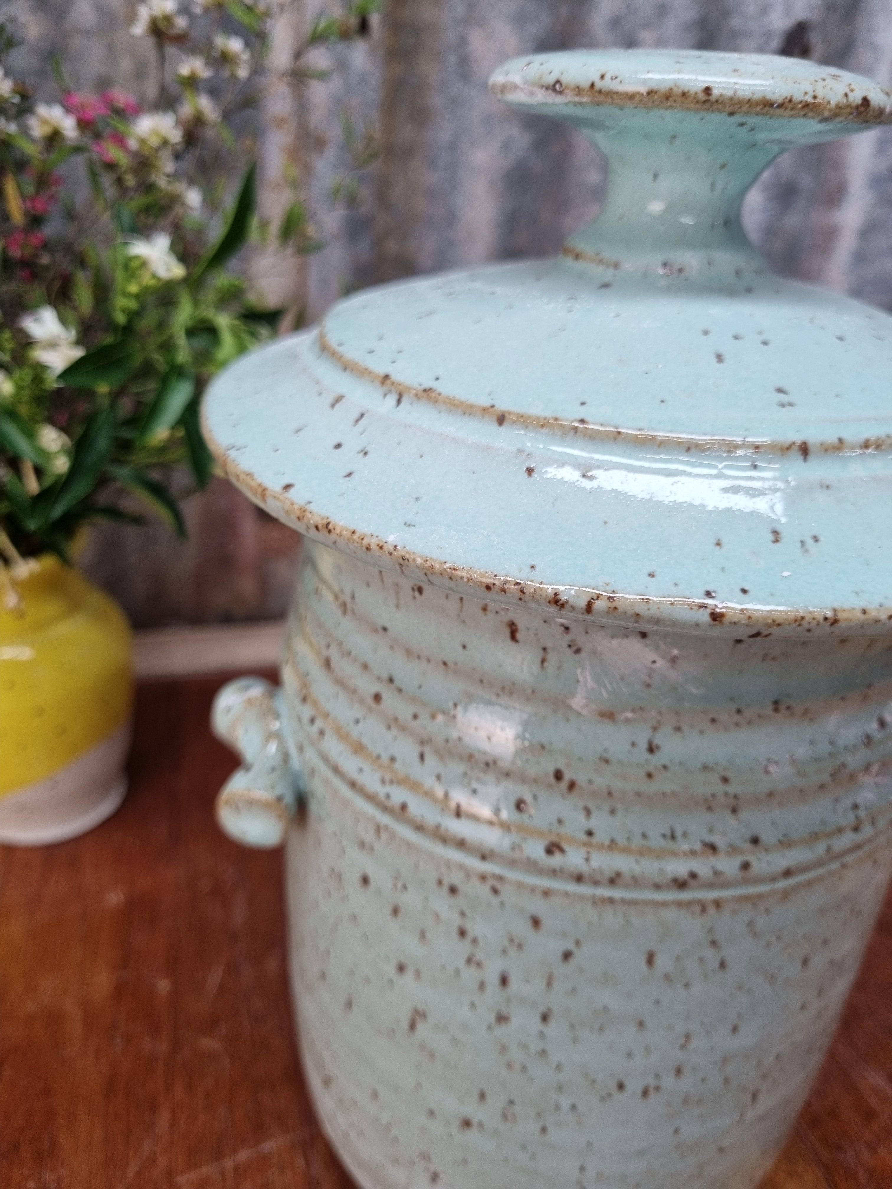 Mary Valley Fermentation Crocks - Mint Choc Chip | Peter Wallace Pottery